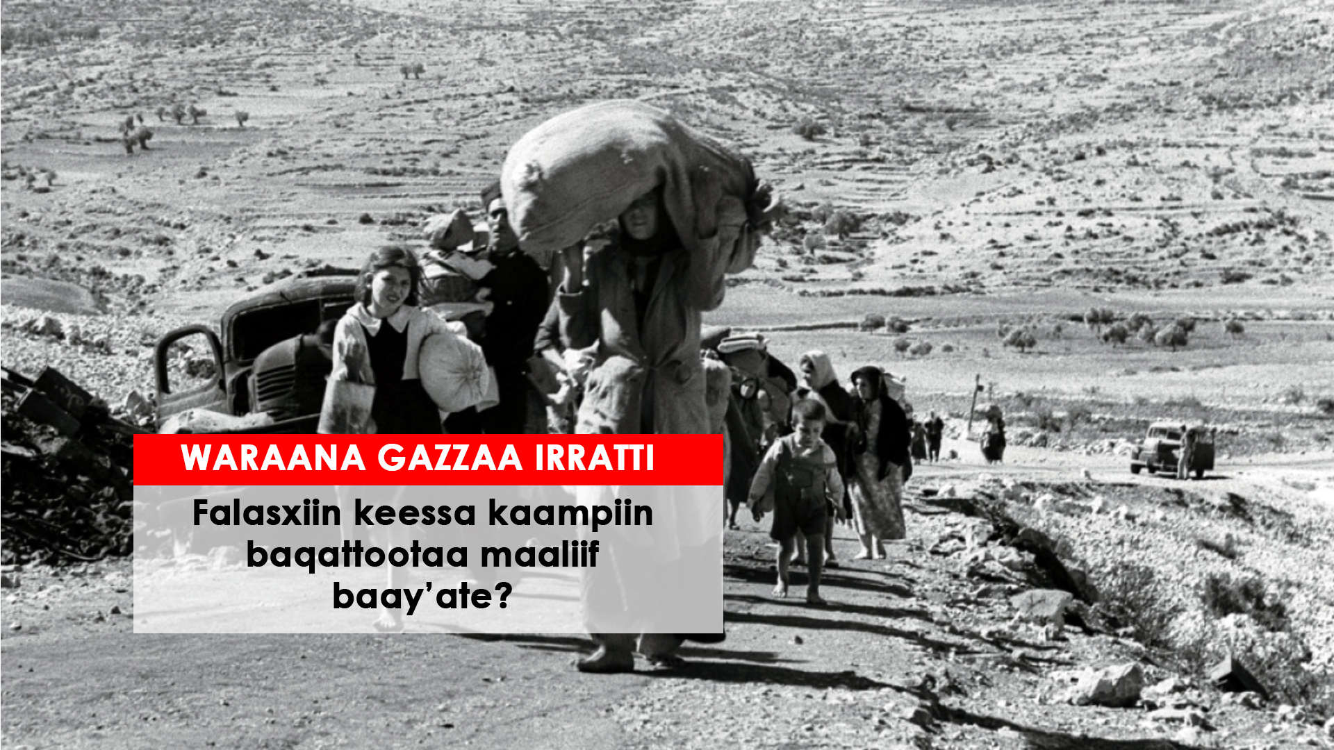 Seenaa gabaabaa waa'ee kampii Baqattootaa Falasxiin - NuuralHudaa